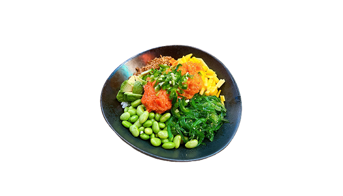 Aki Japanese Cuisine | Online Order | East Northport | NY