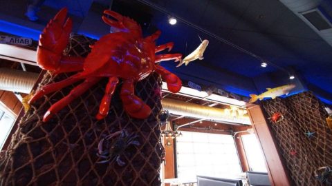 Aloha Krab - Seafood Restaurant | Online Order | Buffalo | NY