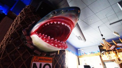 Aloha Krab - Seafood Restaurant | Online Order | Buffalo | NY