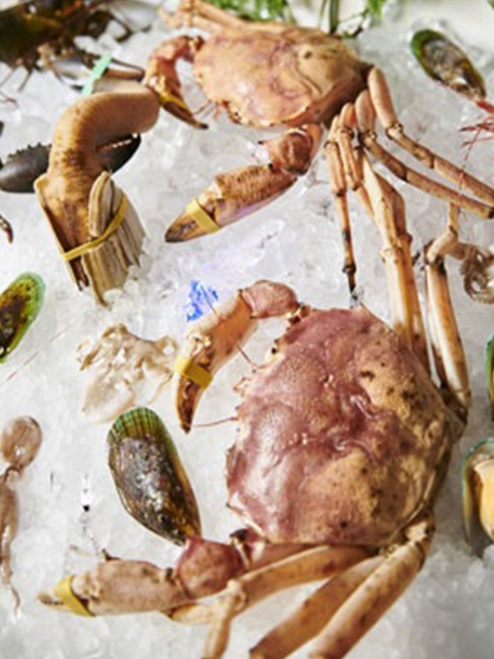 Chef Huang | Online Order | New York | NY