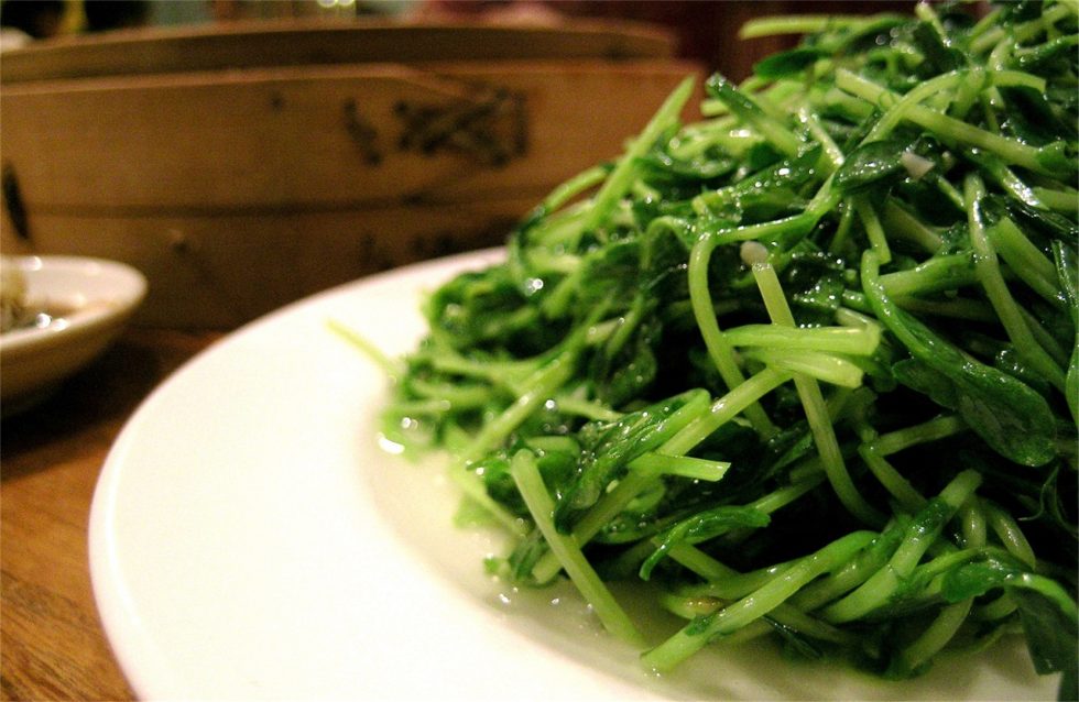 Chun Bo｜Online Order｜Newton｜NJ