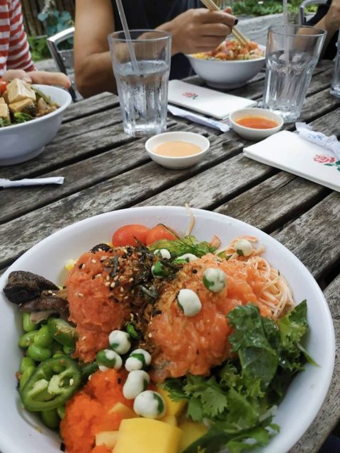 Domo Sushi - Japanese Restaurant | Online Order | Brooklyn | NY