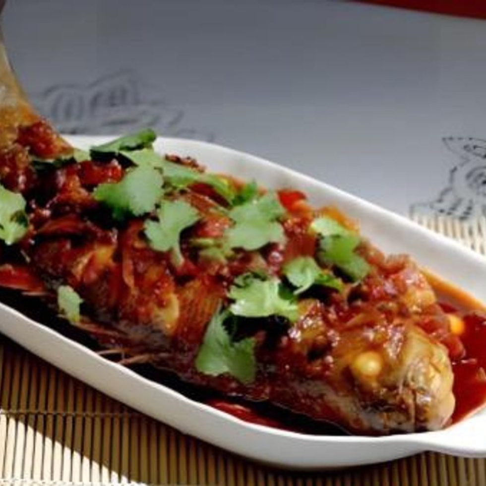 Home - Koi Modern Chinese Cuisine