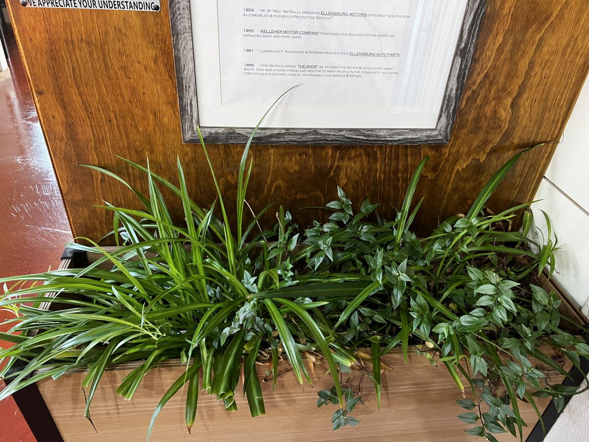 Pop Pot & Bowl | Online Order | Ellensburg | WA