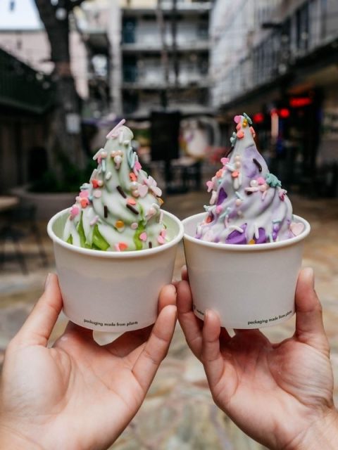 Home - Premium Matcha Cafe Maiko