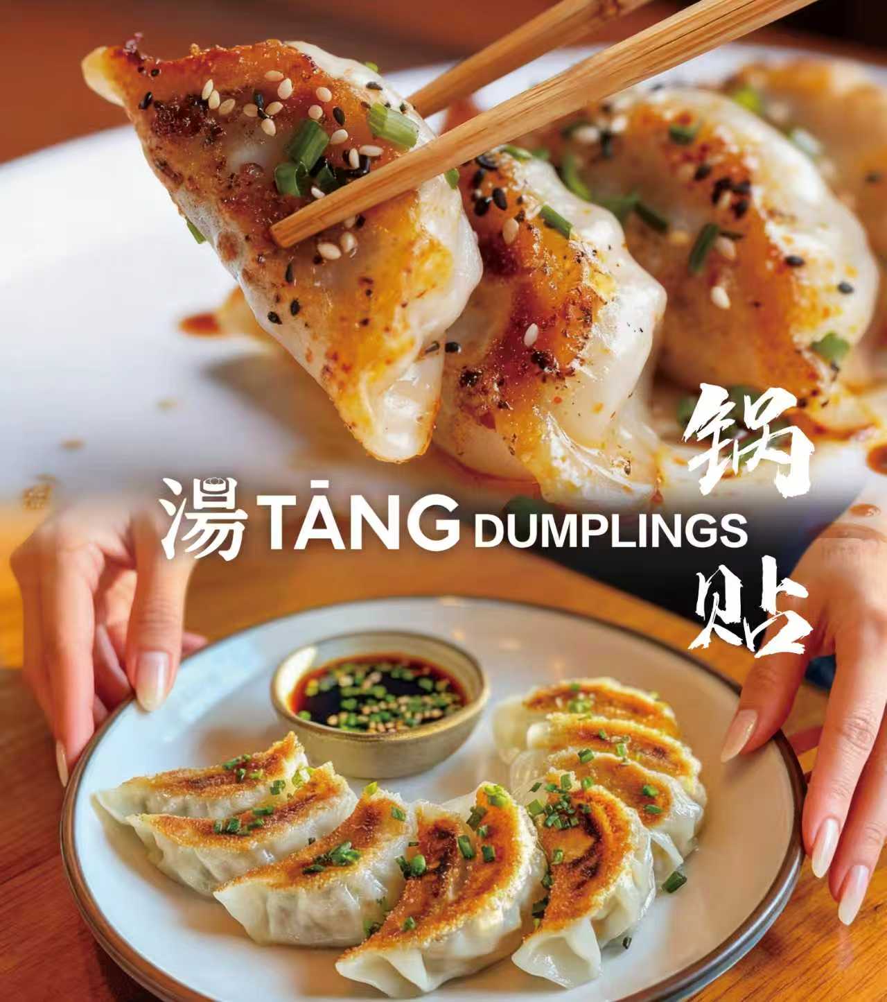 Home | Tang Dumplings - Chinese Restaurant | Online Order | Hummelstown ...
