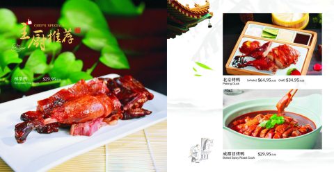 Tea Horse Sichuan Bistro｜Online Order｜Ellicott City｜MD