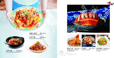 Tea Horse Sichuan Bistro｜Online Order｜Ellicott City｜MD