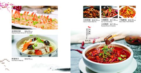 Tea Horse Sichuan Bistro｜Online Order｜Ellicott City｜MD