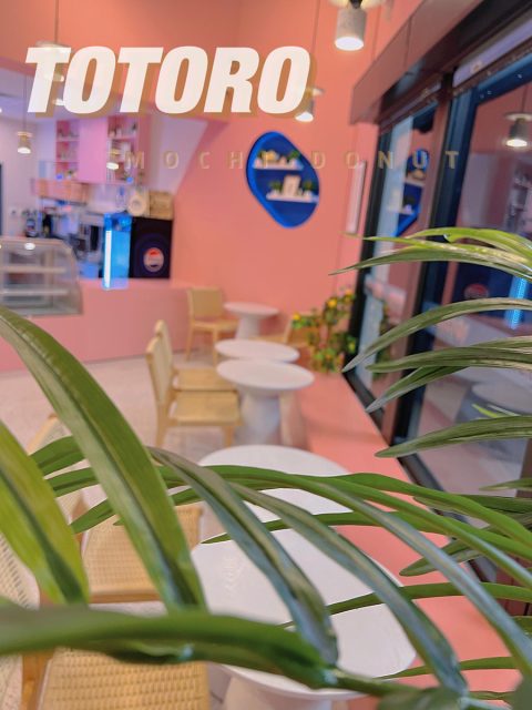 Totoro Mochi Donut - Dessert Shop | Online Order | Friendswood | TX